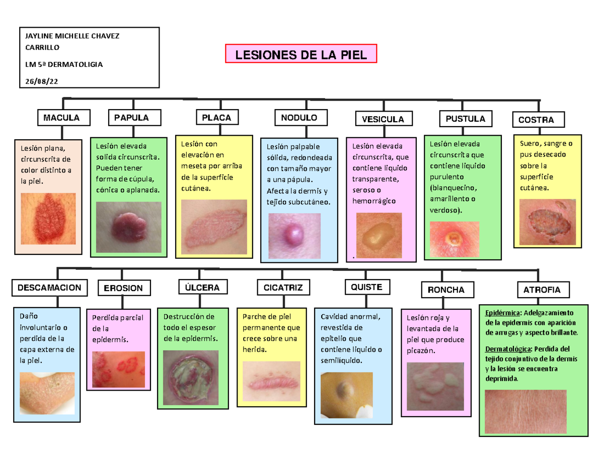 Lesiones de la Piel: Tipos y Características - LM 5ª Dermatología - Studocu