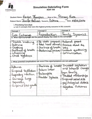 Cm Spsrcourse Documents View - INKS Simulation Debriefing Form NUR 195 ...
