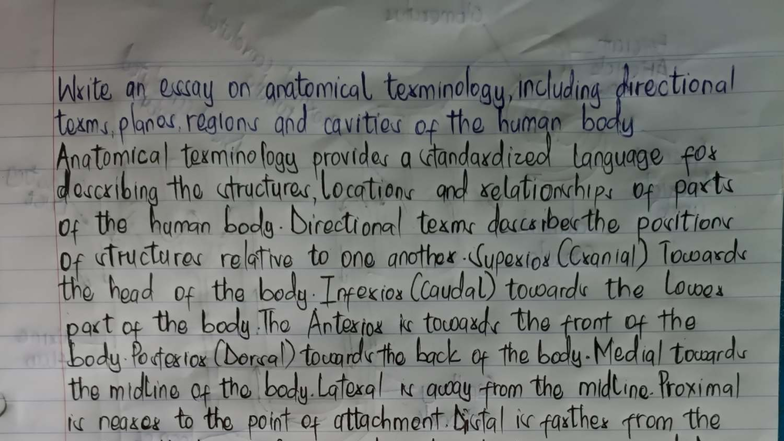 Anatomical Terminology Essay: Directional Terms, Planes, Regions ...