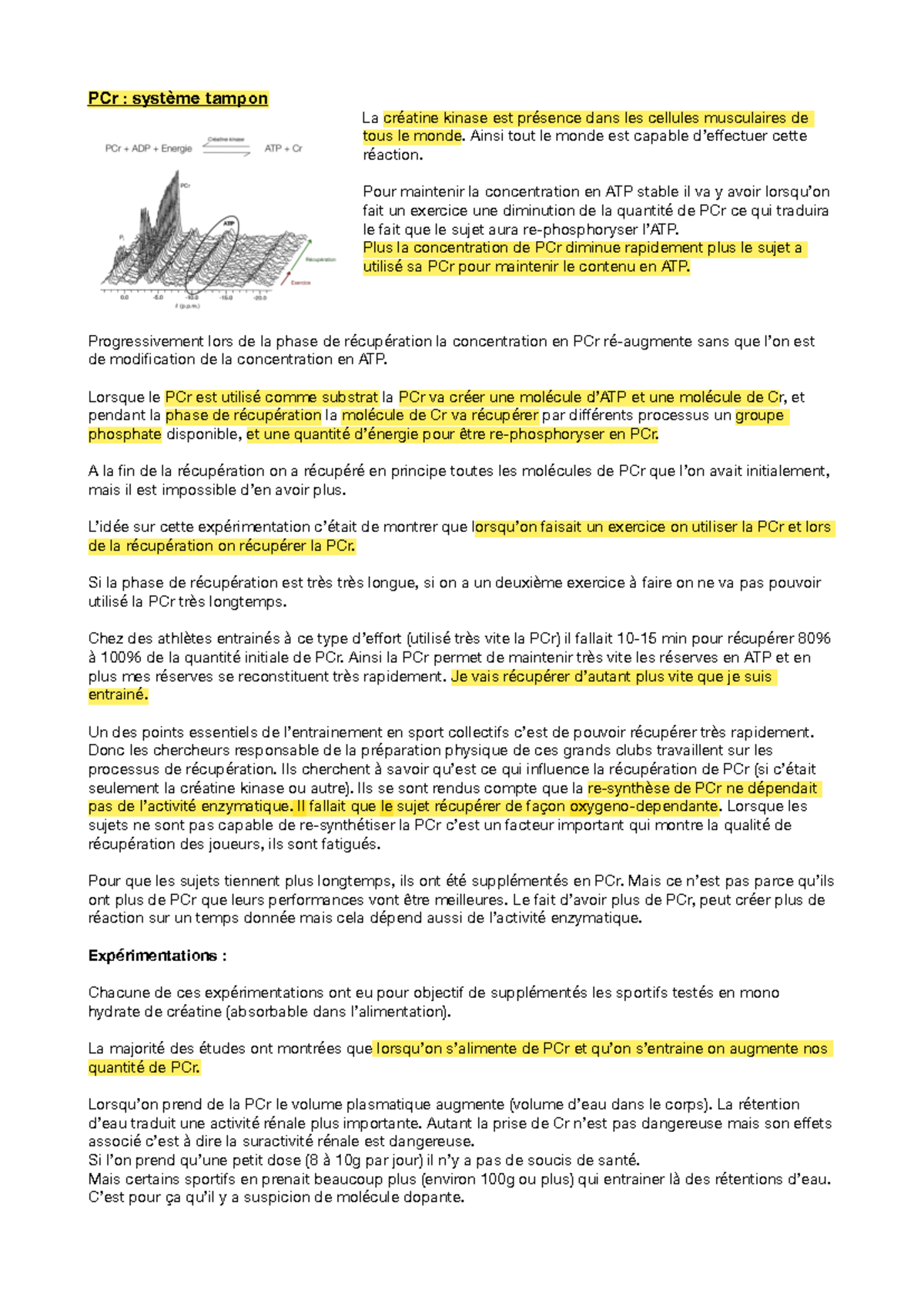 CM4 - physio - PCr : système tampon La créatine kinase est présence ...