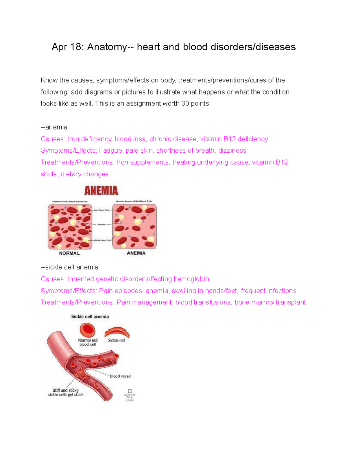Anatomy of Heart and Blood Disorders/Diseases - Assignment Notes - Apr ...