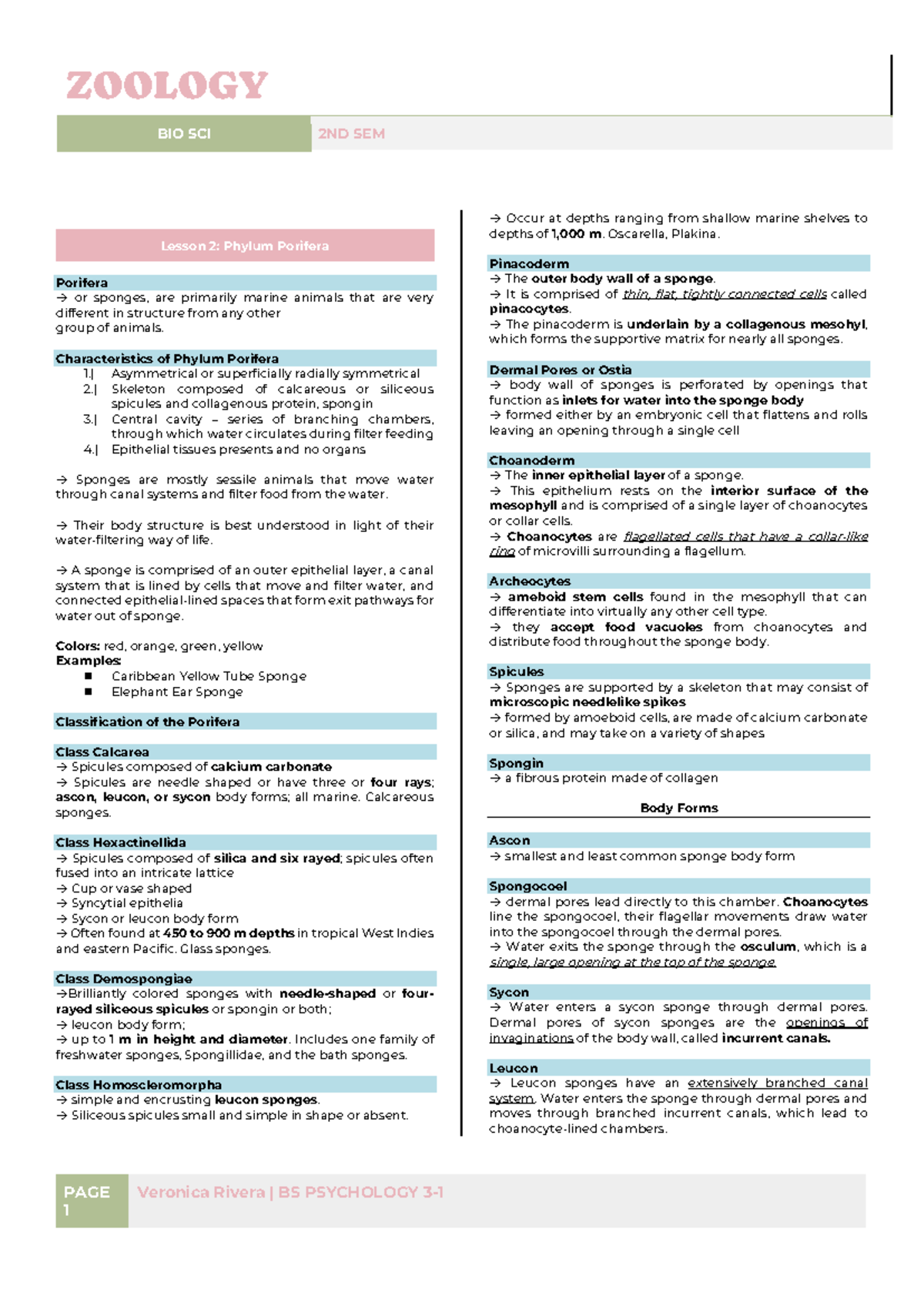 ZOOLOGY BIO SCI 2ND SEM Midterm Study Guide: Phylum Porifera & Cnidaria ...