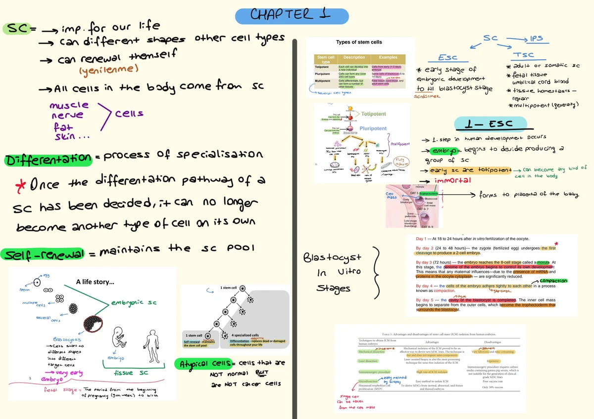 Week 1 Lecture 1: Introduction to Stem Cells and Their Applications ...