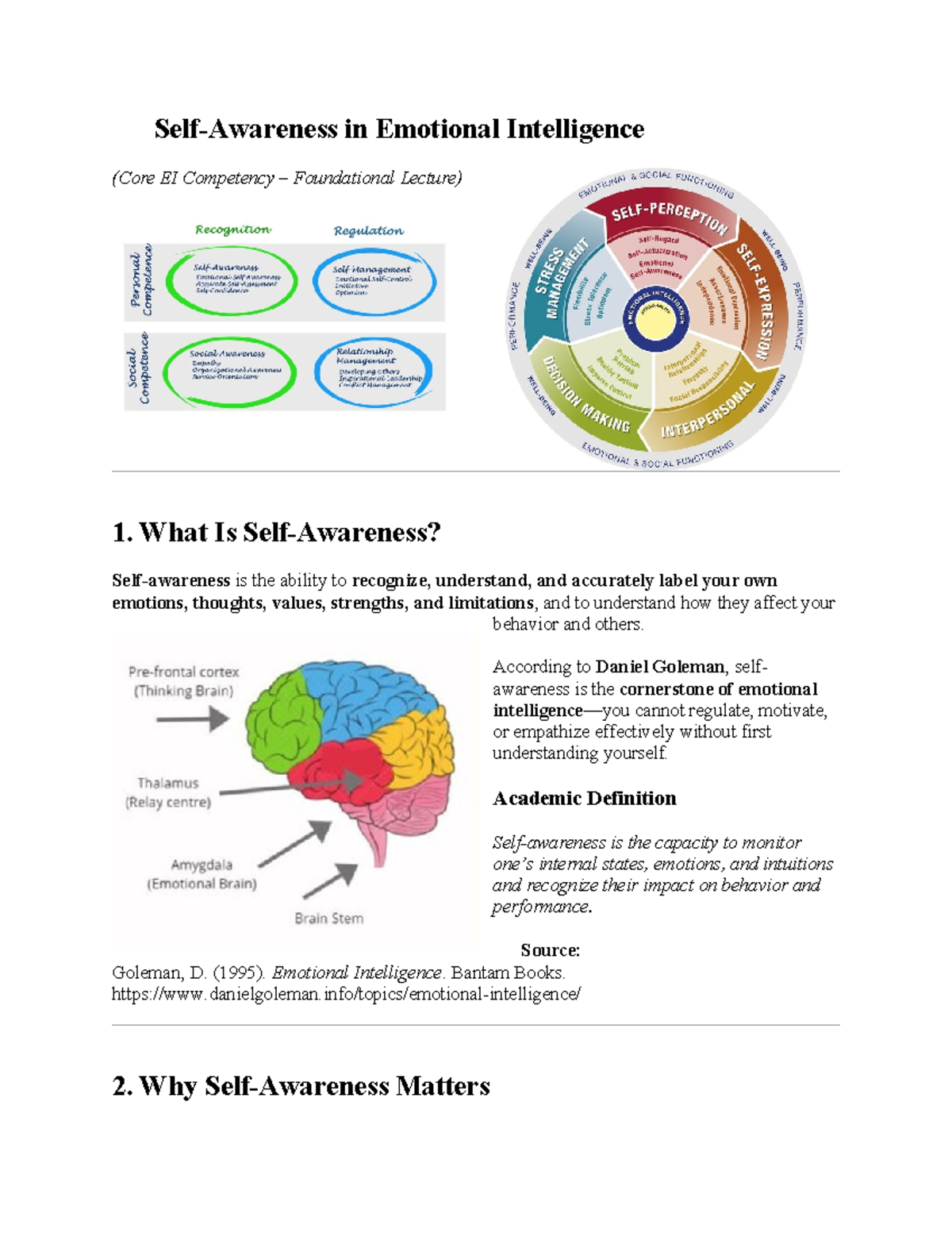 EI Self-Awareness: Core Competency Lecture Notes (Lesson 4) - Studocu