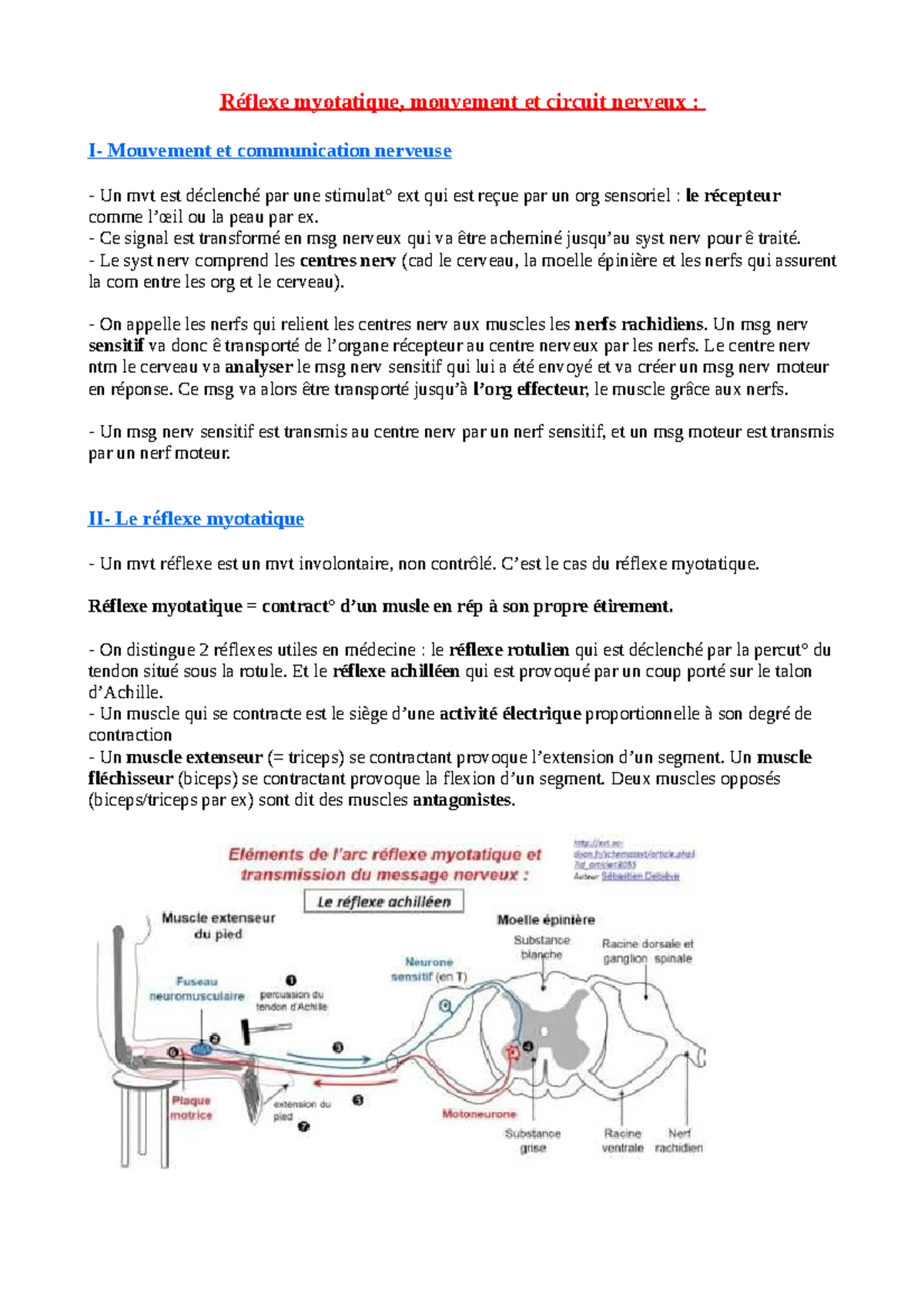 Chapitre 1 : L'Origine du Génotype des Individus - SVT Terminale 2024/ ...