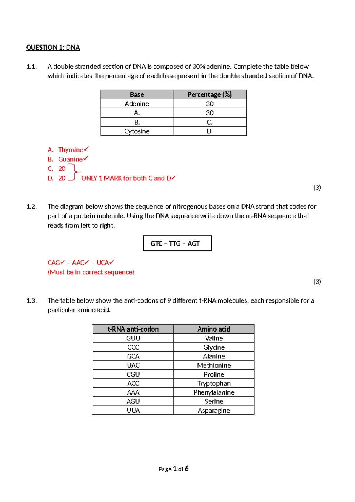 Grade 12 Life Science Practical: DNA Structure & Meiosis Analysis - Studocu
