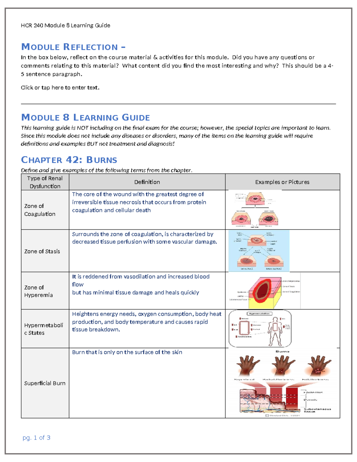 HCR 240 Module 8 Learning Guide - MODULE REFLECTION – In the box below ...