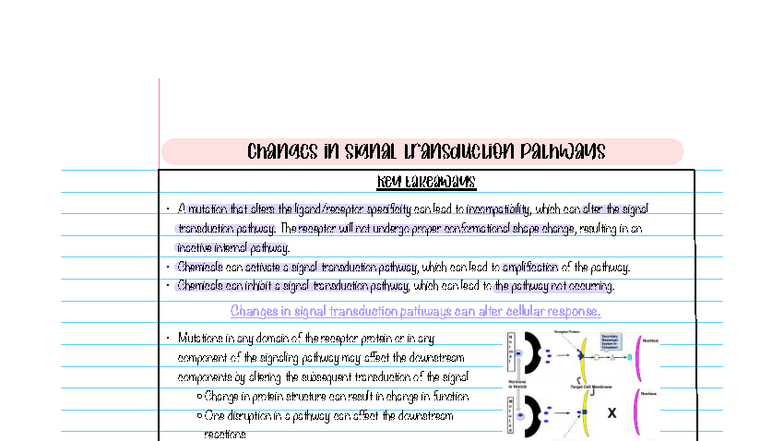 4.4 Changes in Signal Transduction Pathways: Key Insights - Studocu