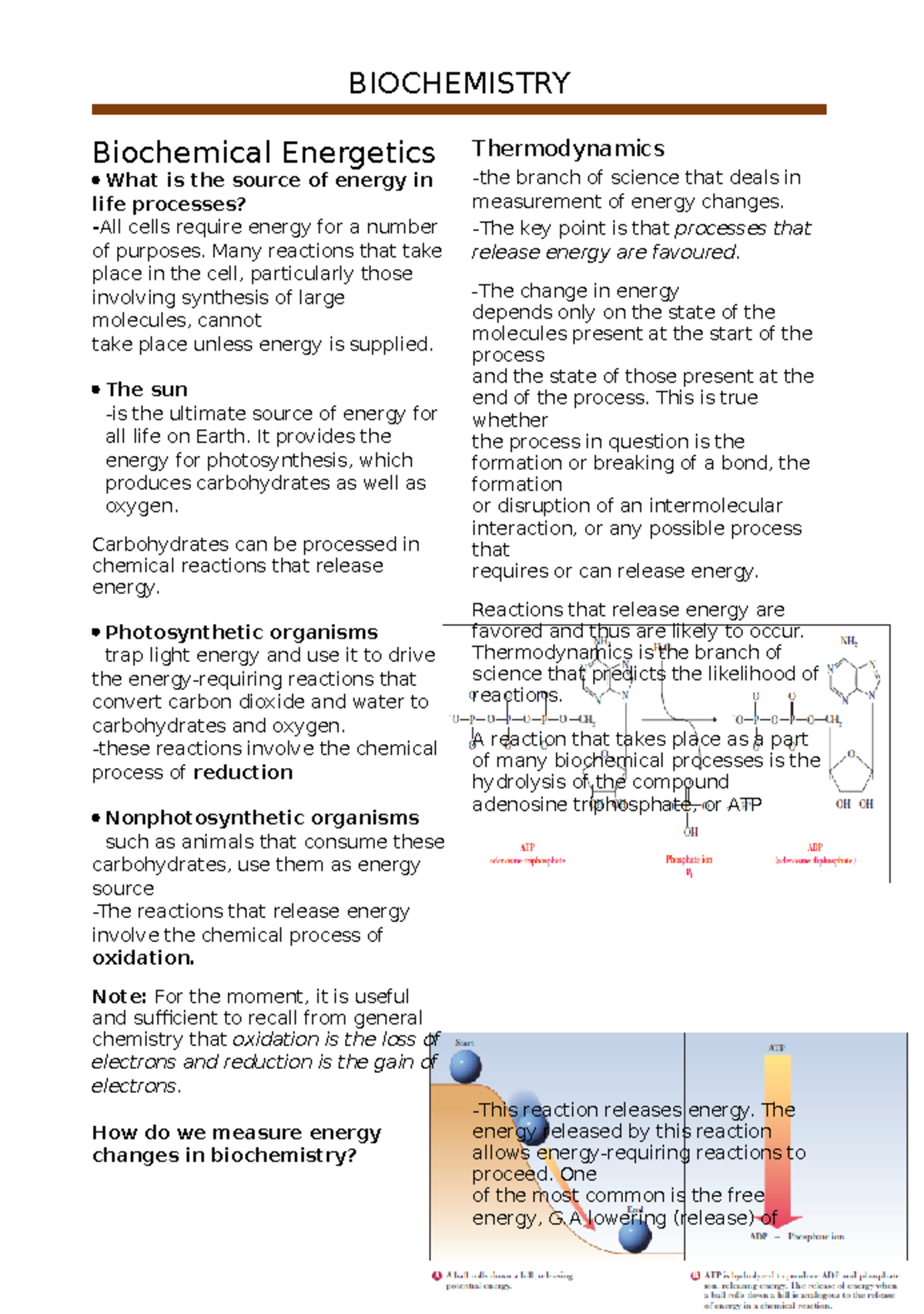 Biochem Notes - BIOCHEMISTRY Biochemical Energetics What is the source ...