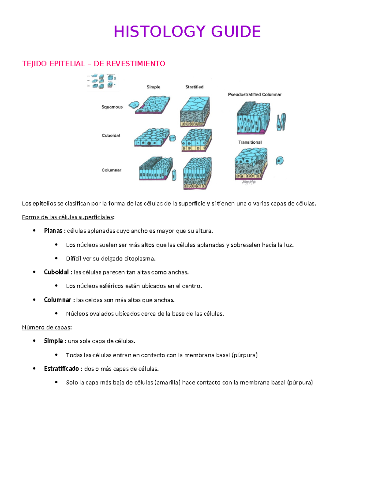 Histology Guide - apunte histología - HISTOLOGY GUIDE TEJIDO EPITELIAL ...