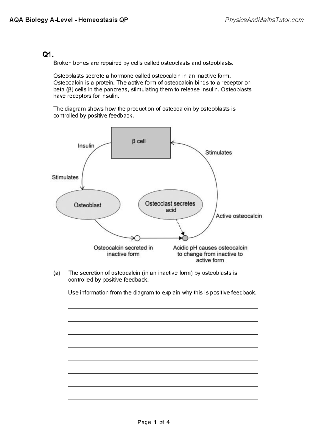 6.4 Homeostasis QP - Positive Feedback Mechanisms Explained - Studocu