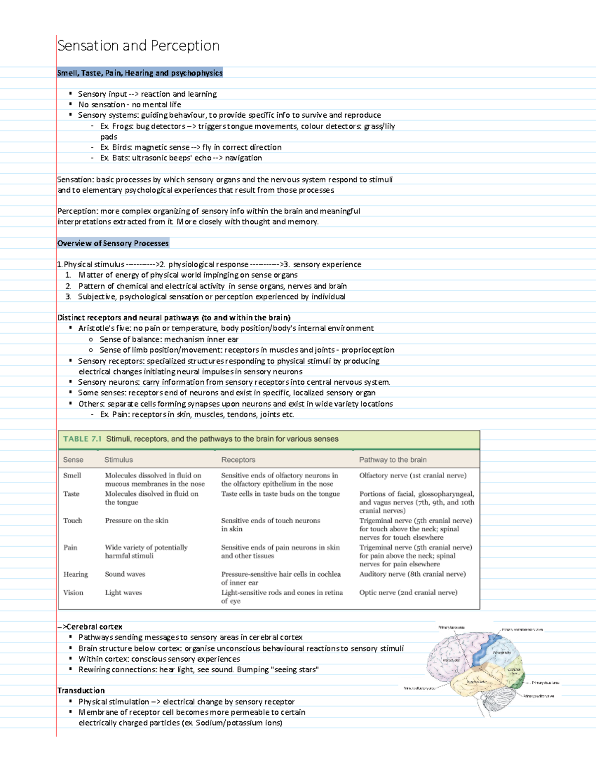 Sensation and Perception (PSY101) - Comprehensive Notes on Sensory ...
