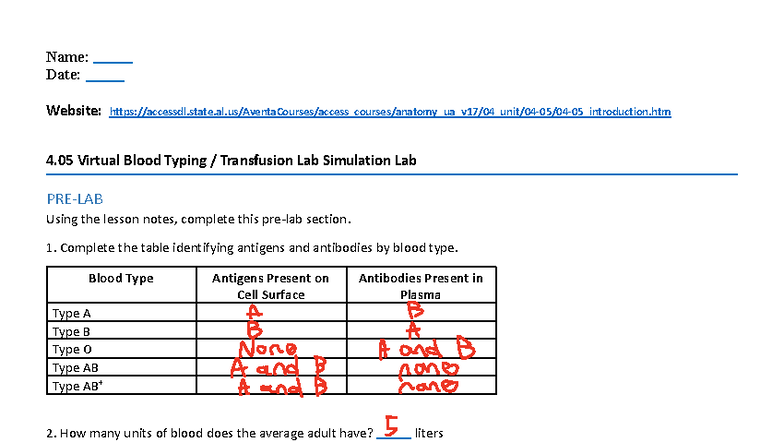 Online Blood Typing Worksheet: 4.05 Lab Simulation Notes - Studocu
