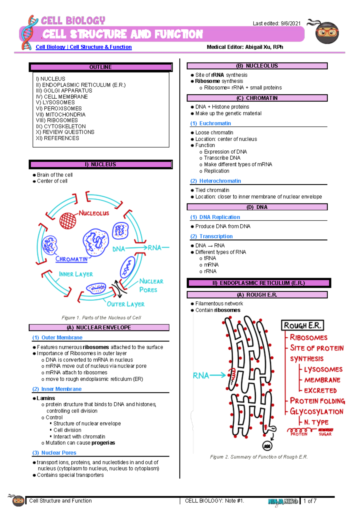 Cell Biology: Cell Structure and Function Overview (B) - Studocu