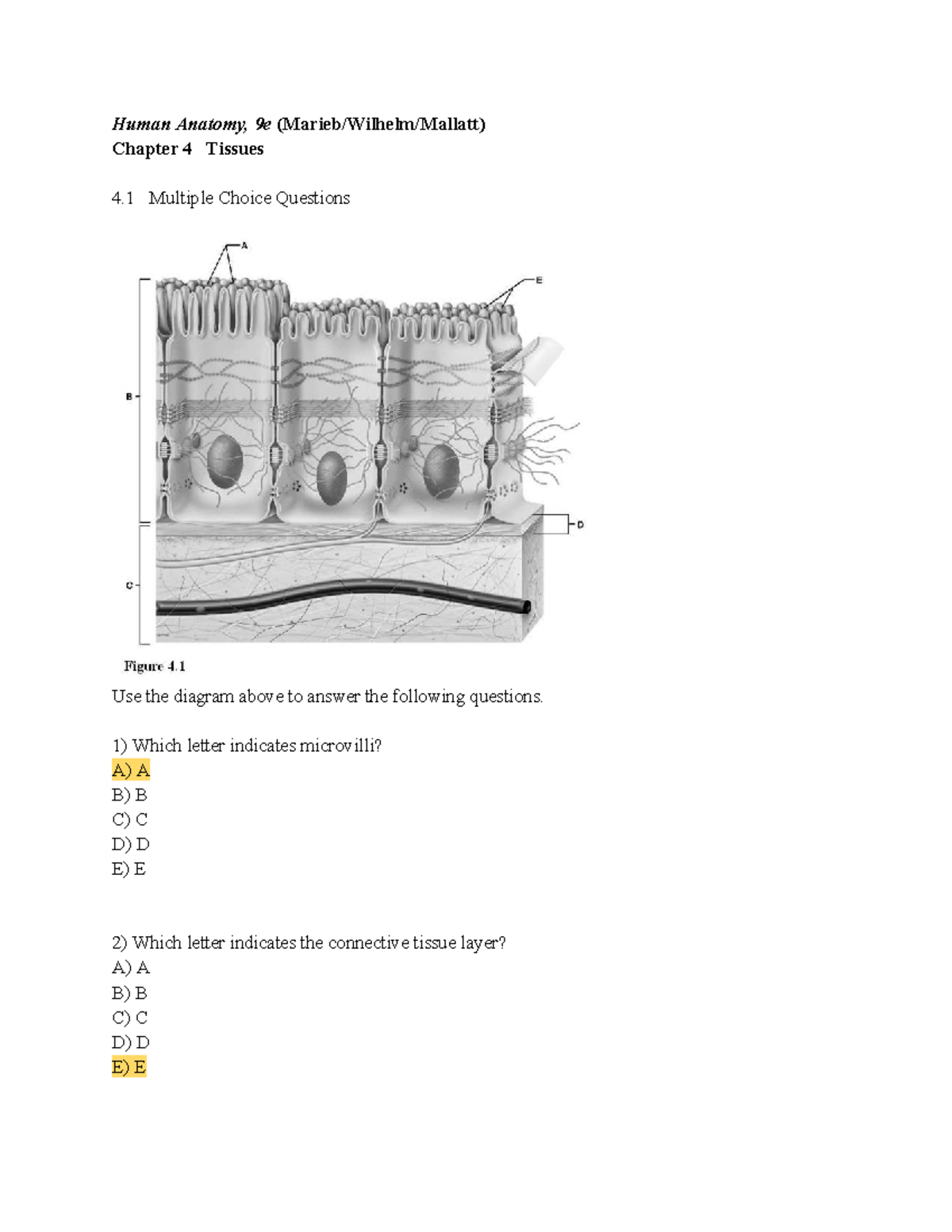 Human Anatomy 9e Exam 1 Study Guide: Tissues Overview - Studocu