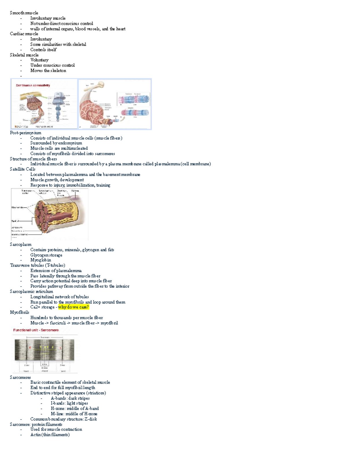 Final Exam Study Guide for Math 101: Key Concepts and Practice - Smooth ...