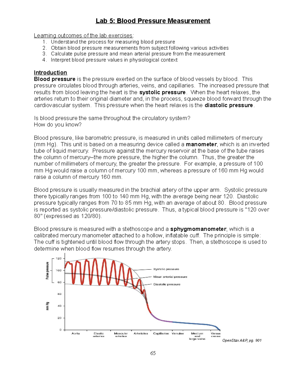 AP2 Lab 5: Blood Pressure Measurement Techniques and Insights SP21 ...