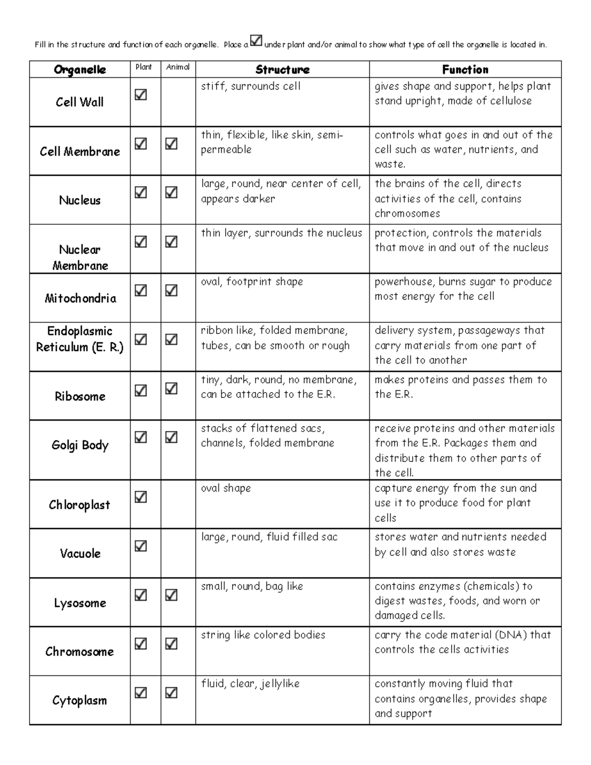 Organelle Structure and Function Chart for Plant and Animal Cells - Studocu