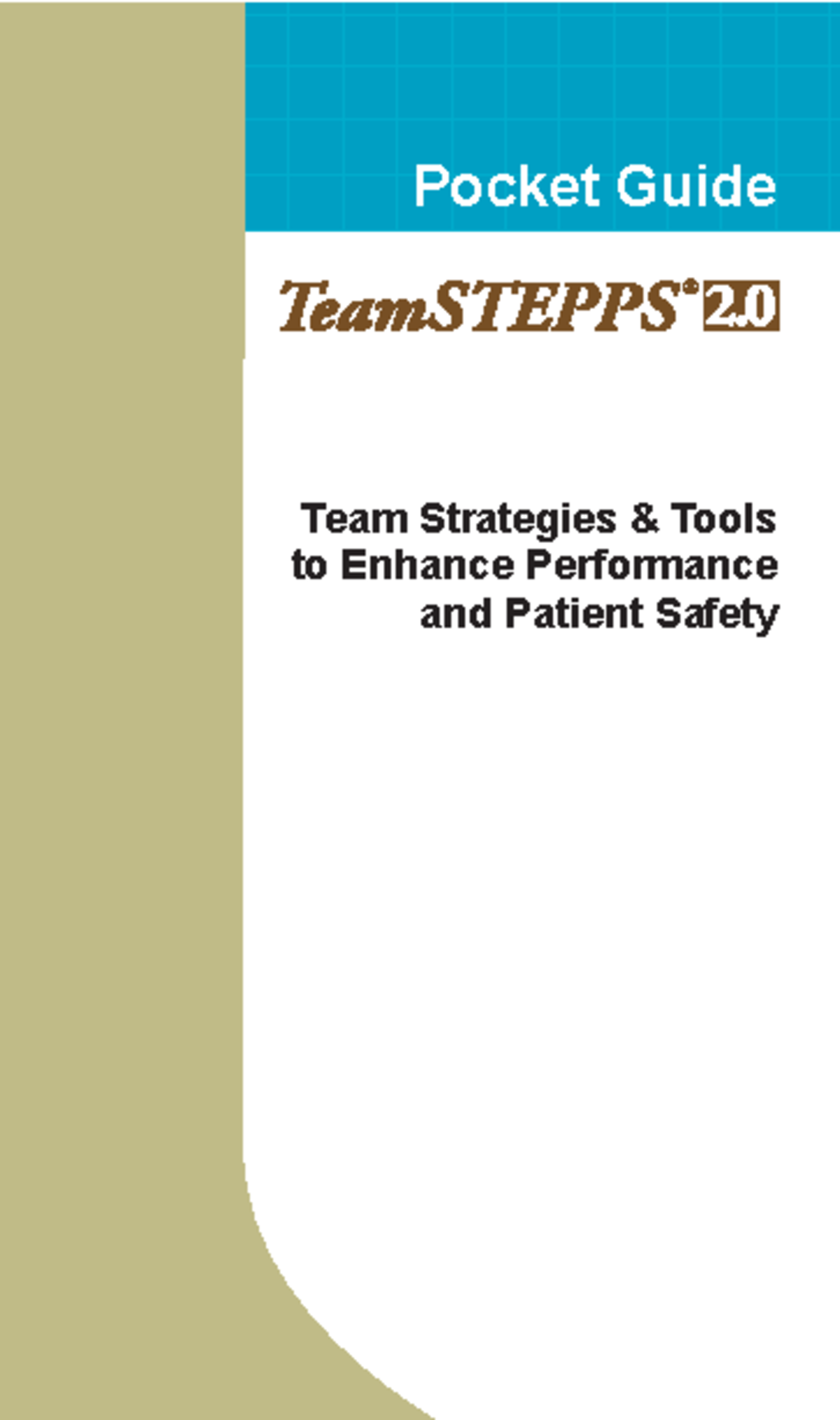 Team Stepps - handbook reference - Pocket Guide Team Strategies & Tools ...