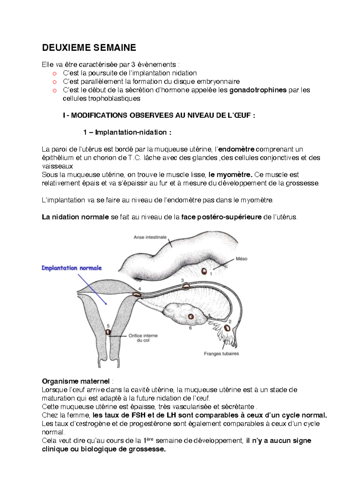 Cours Embryo 2: Développement et Nidation - Semaine 2 - Studocu