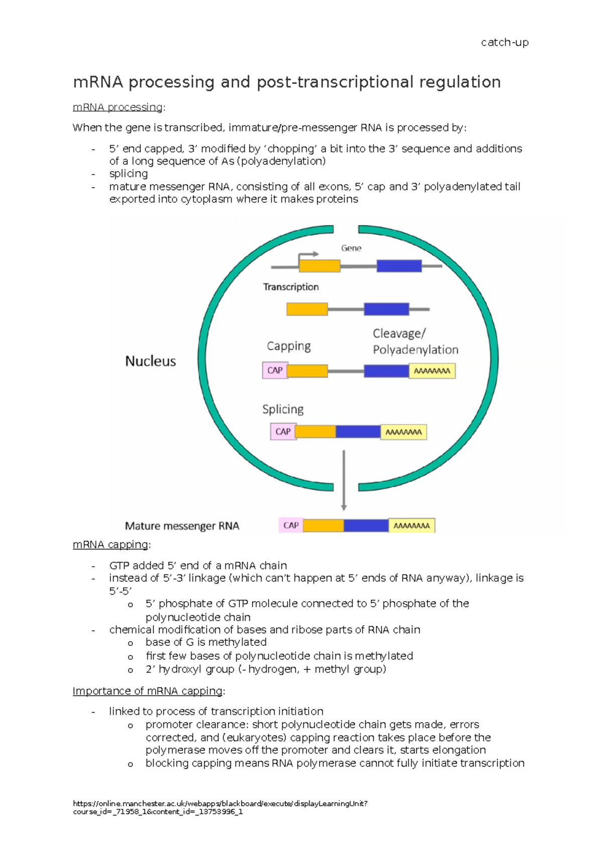 MRNA processing - manchester.ac/webapps/blackboard/execute ...