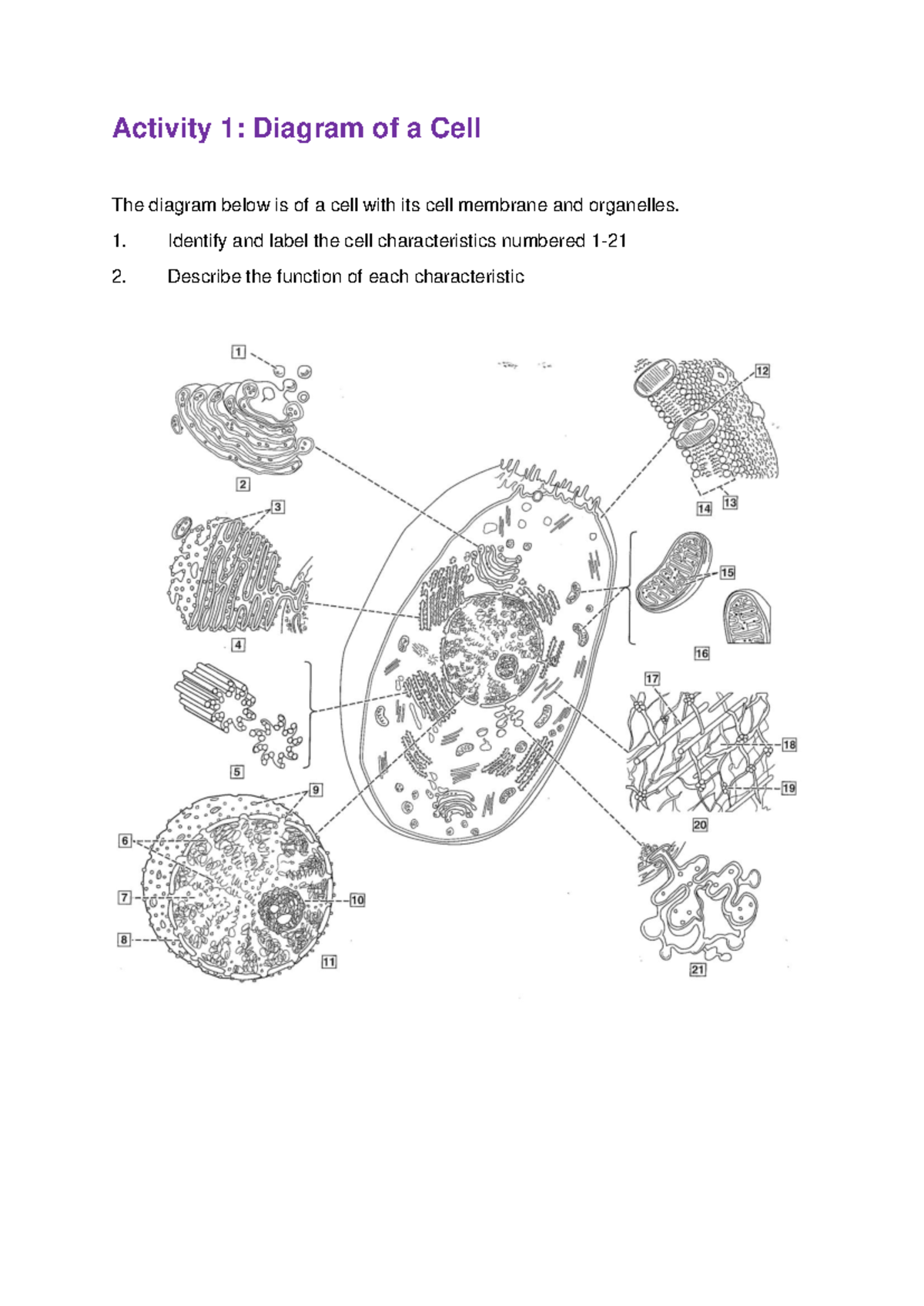Activity 1 - Diagram of a cell with its cell membrane and organelles ...
