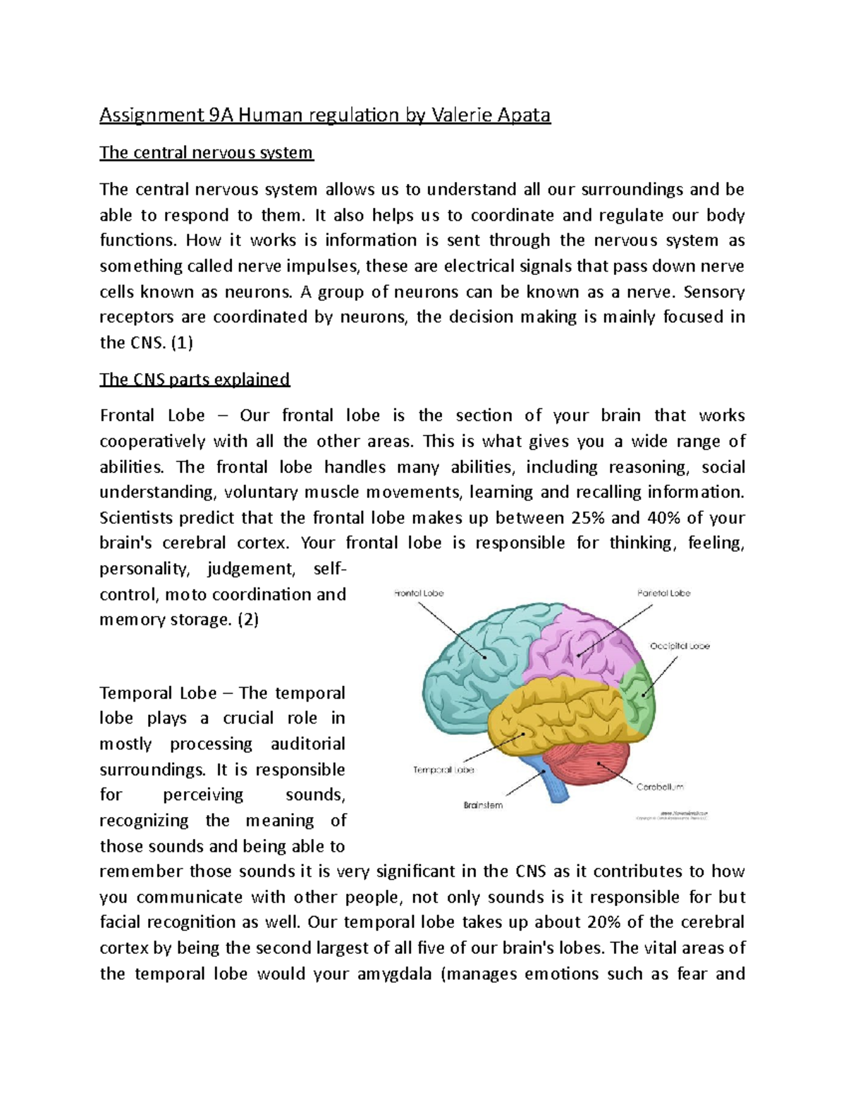 Assignment 9A: Overview of the Central Nervous System Functions - Studocu