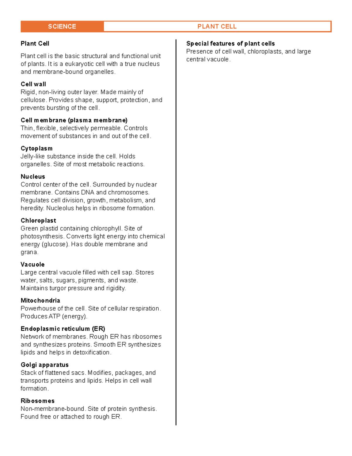 SCIENCE Plant Cell Structure and Function Overview - Studocu