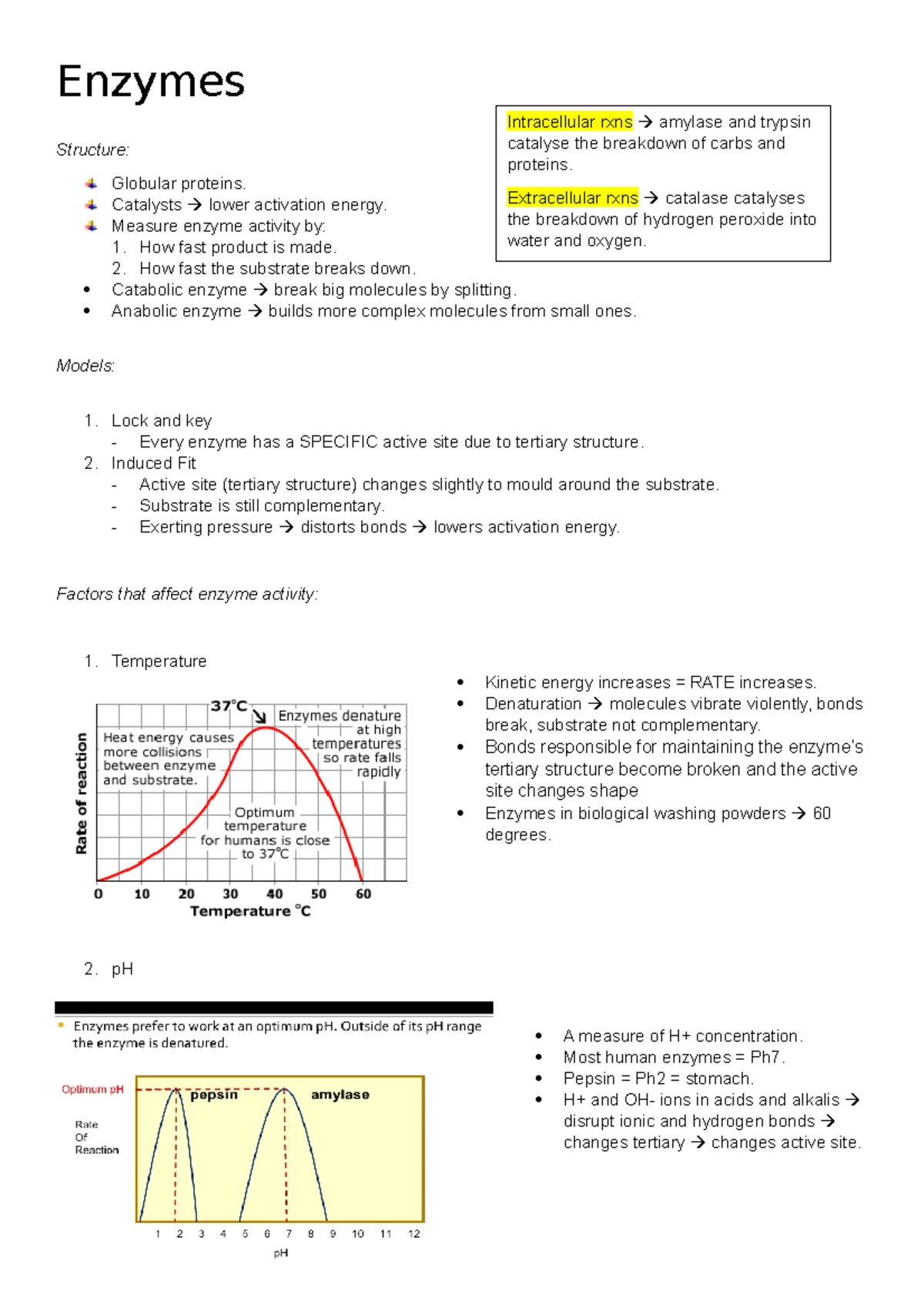 Summary Notes PMT - Topic 1 Biological Molecules - AQA Biology A-Level ...