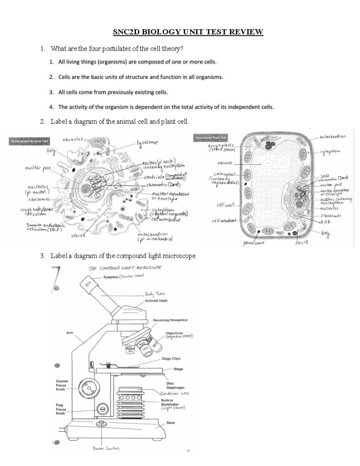 SNC2D Biology Unit Test Review: Key Concepts and Diagrams - Studocu