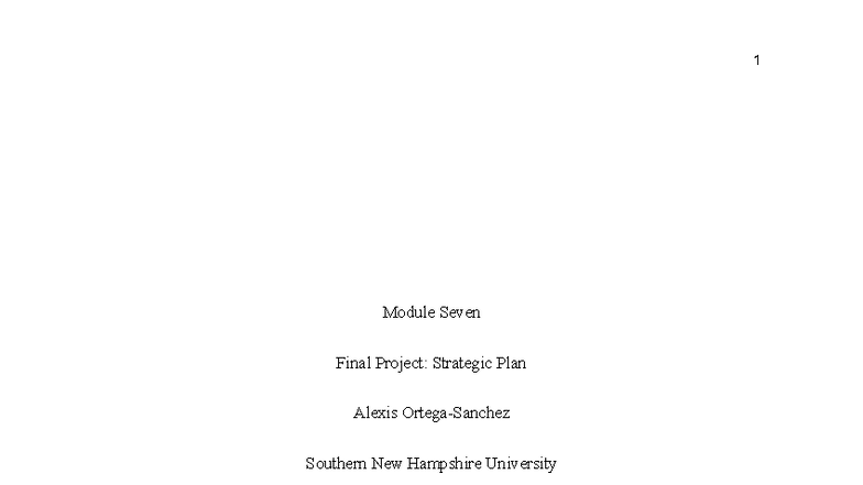 HSE 320 M01 Module 7 Final Project: Strategic Plan for Empowerment for ...