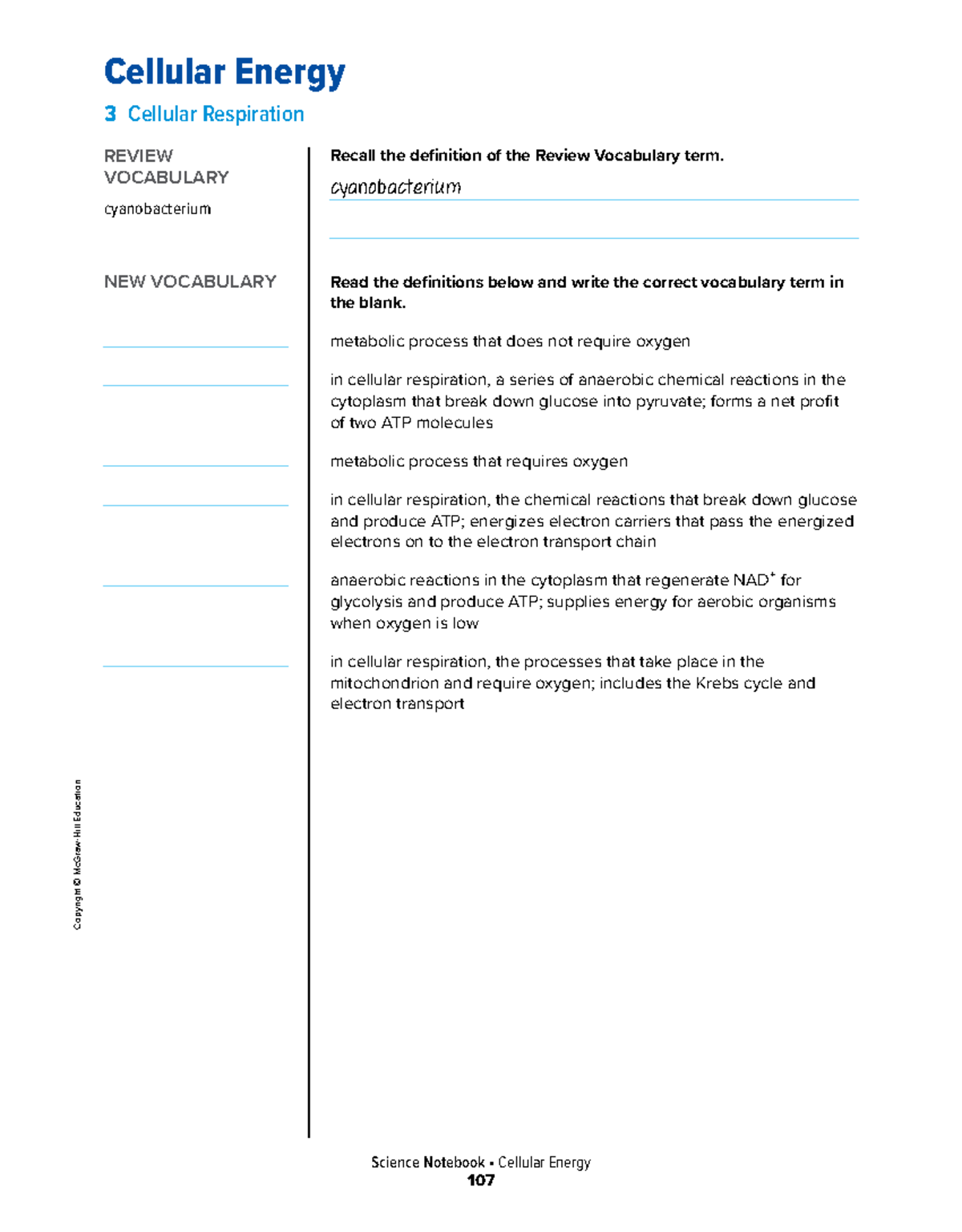 Cellular energy 3 cellular respiration review vocabulary and concepts ...