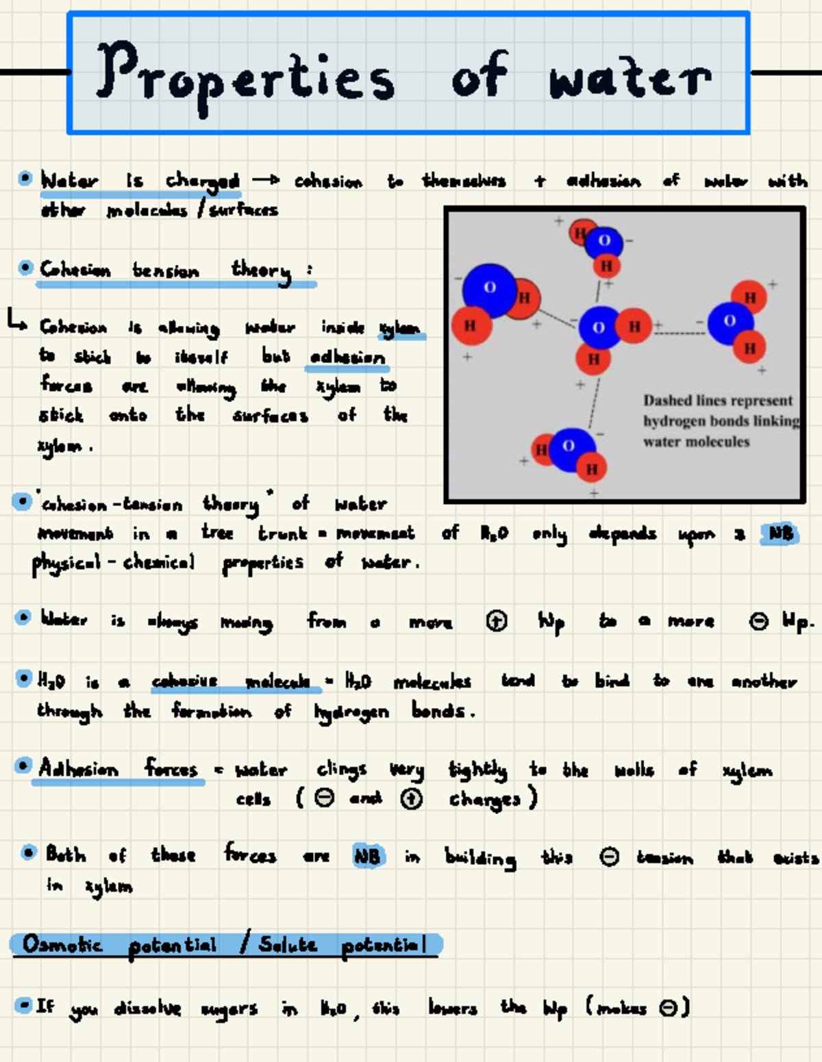 Properties of Water: Cohesion, Tension, and Xylem Movement - Lecture 4 ...