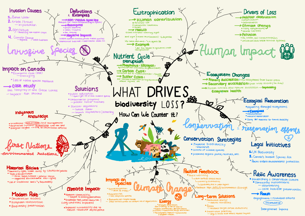 Envsocty 2EI3 - Mind Map - 2EI3 - D ####### F ! ⑤ ! d U e ·U N E ...