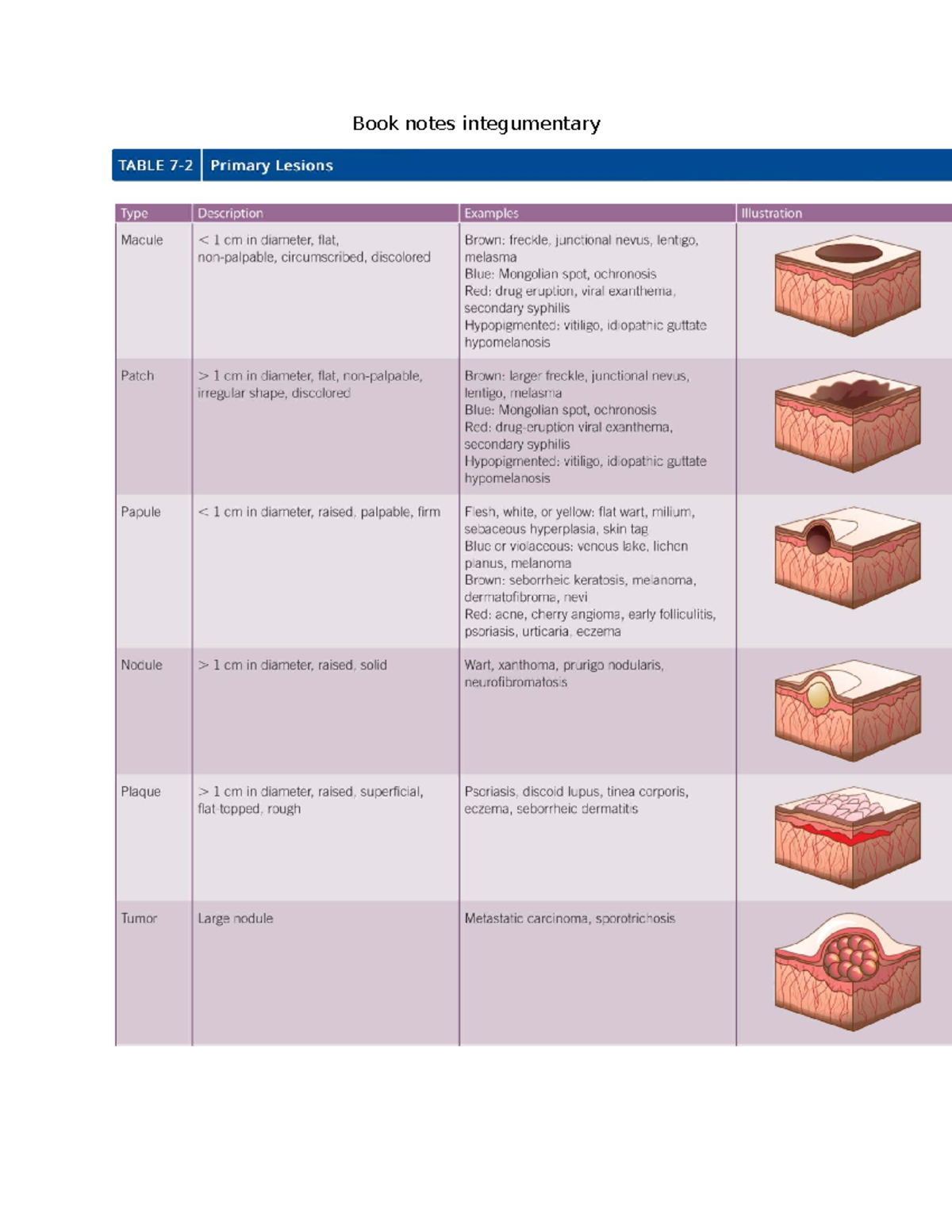 Book Notes CH 7: Integumentary System & Skin Disorders - Studocu