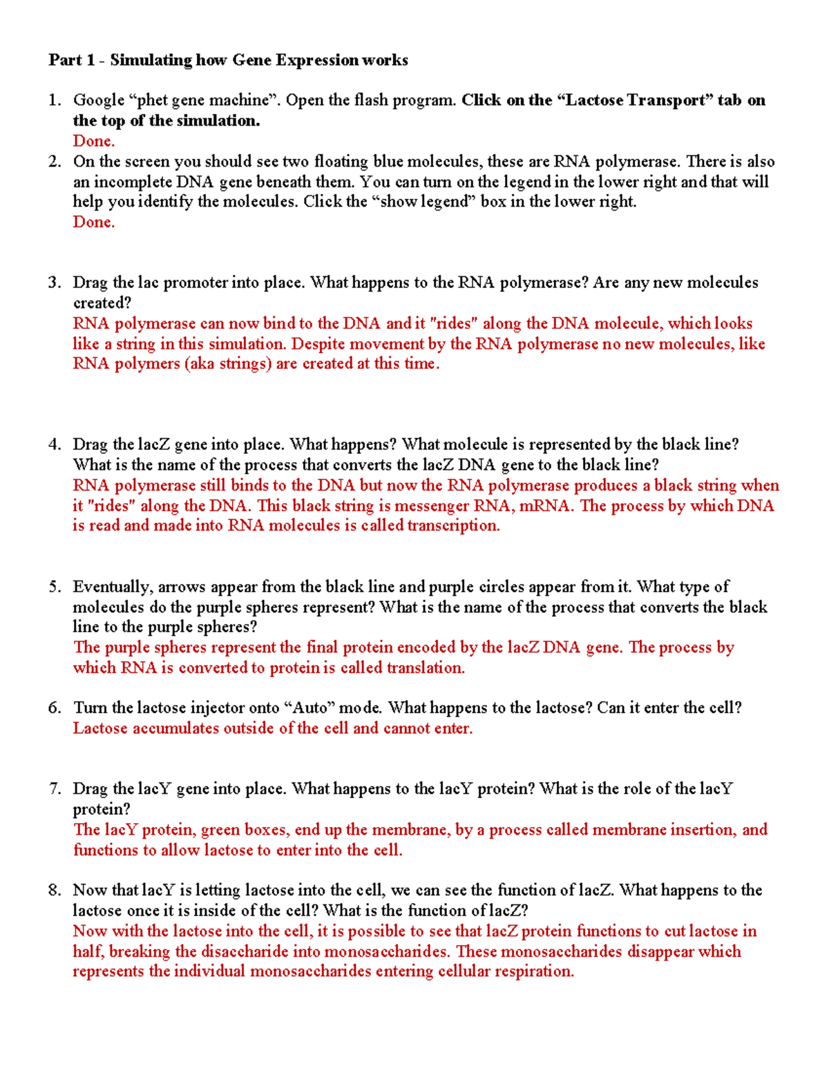 Gene Expression Simulation Guide for 5115 8912 Course - Studocu