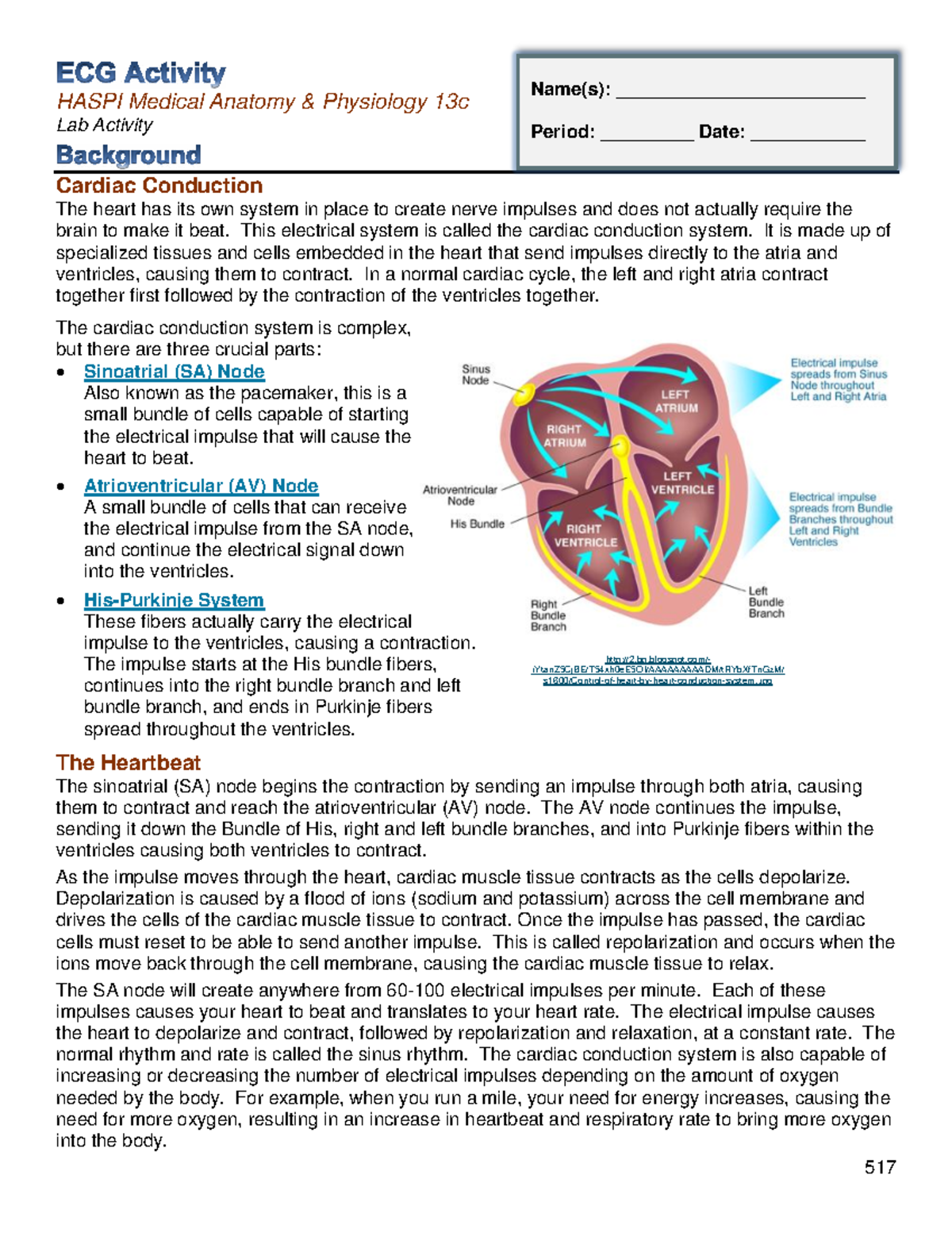 HASPI 13c Cardiac Conduction Lab Activity and ECG Analysis - Studocu