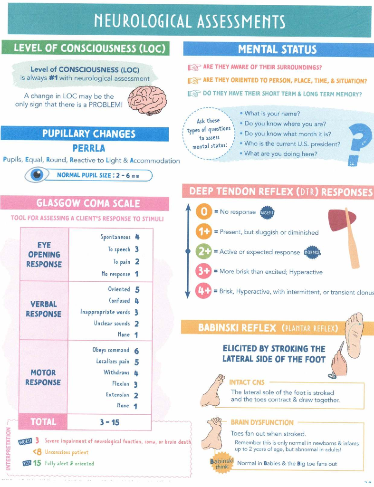 Neuro Study Guides: Assessing Level of Consciousness & Mental Status ...