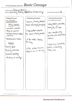2. Nutritional Intake During Pregnancy - ACTIVE LEARNING TEMPLATES ...