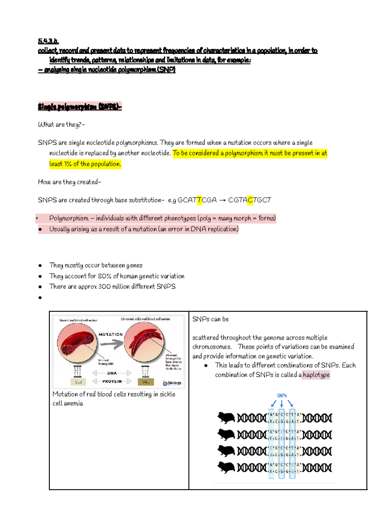 HSC BIO Notes: Analyzing SNPs and Inheritance Patterns in Genetics ...
