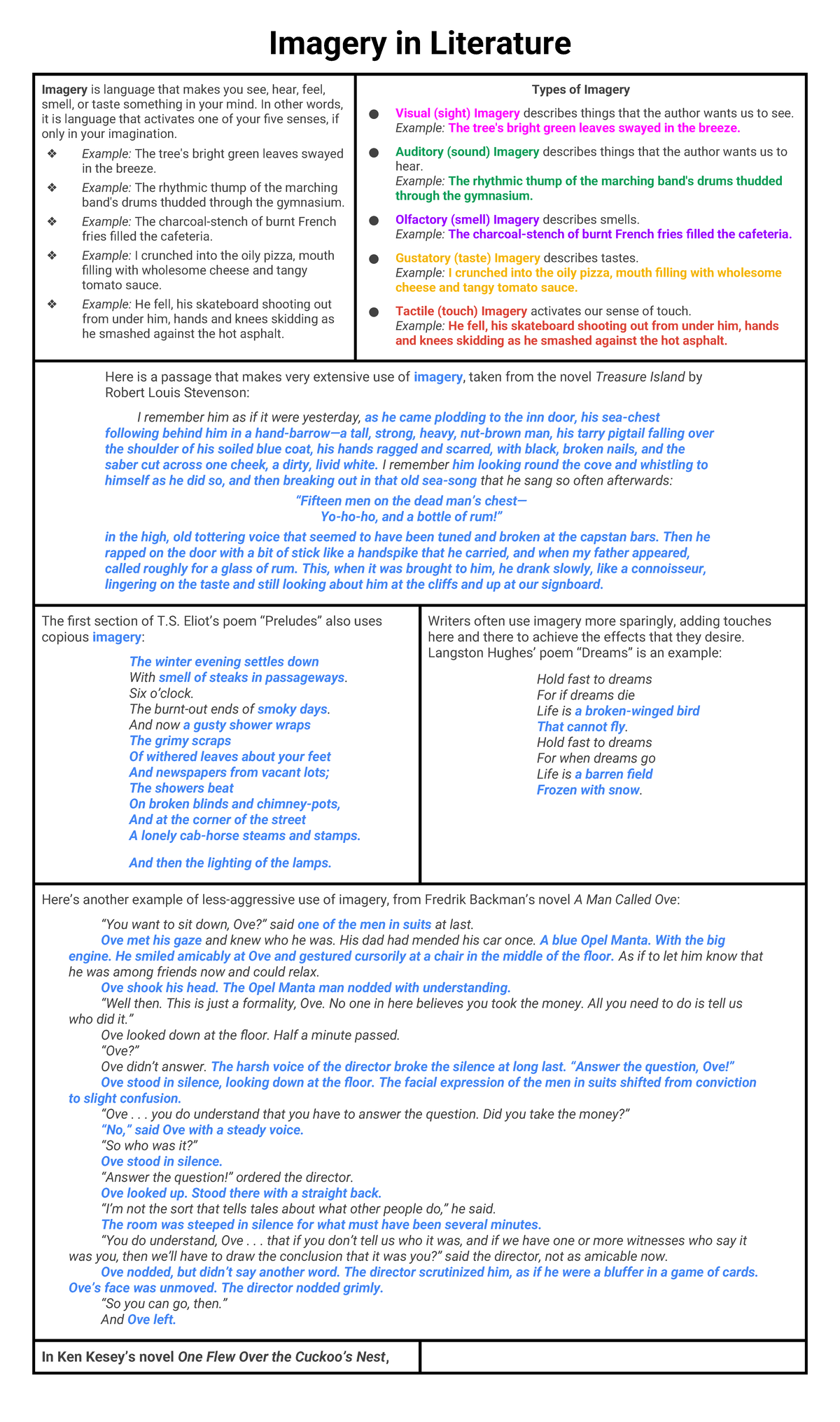 Imagery in Literature - Imagery in Literature Imagery is language that ...