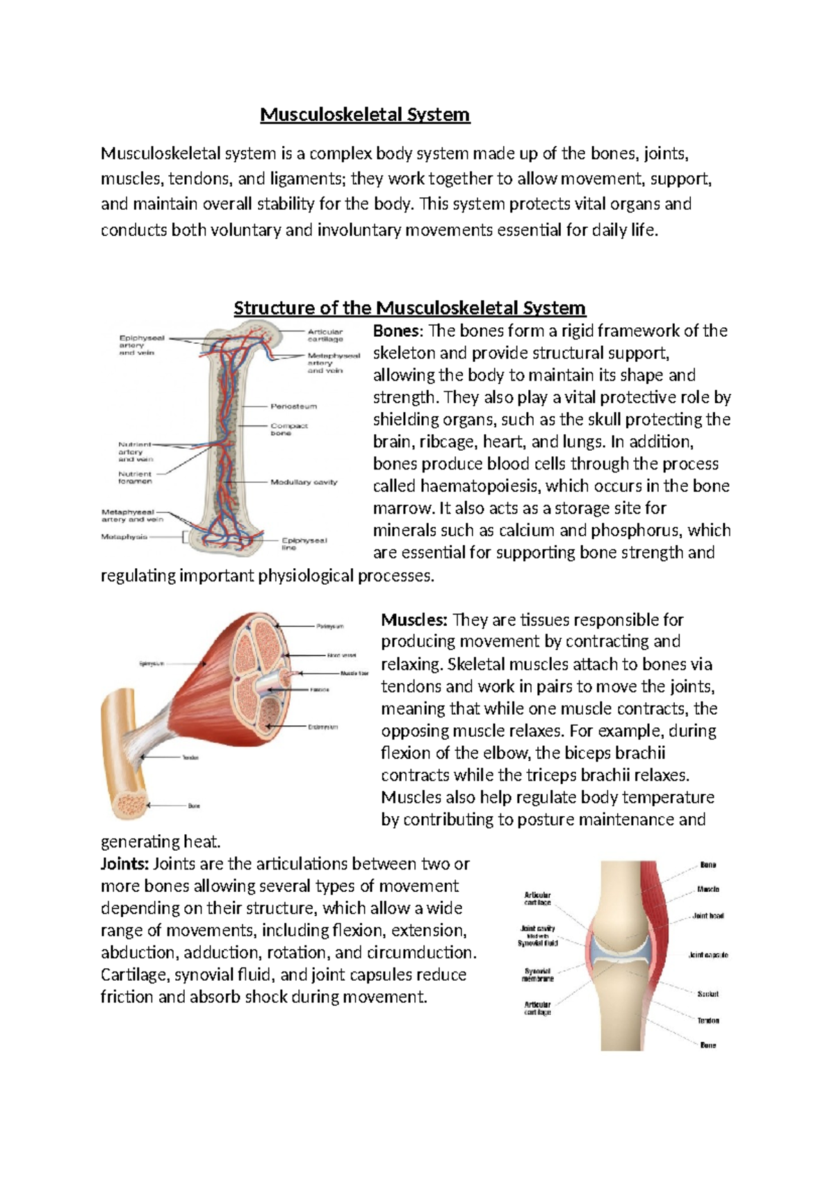 Unit 8: Musculoskeletal System Overview and Disorders - Studocu