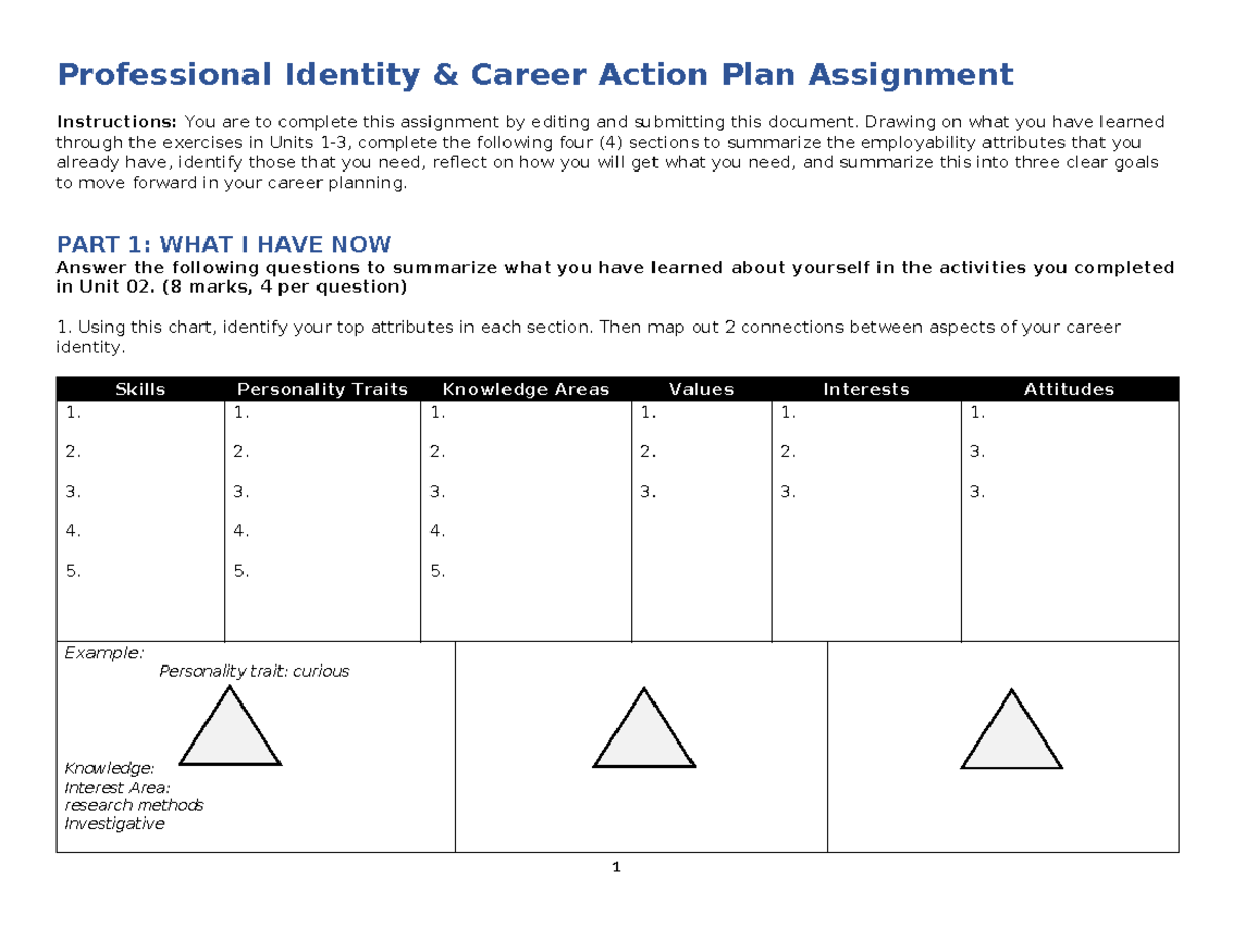 Professional Identity Career Action Plan Assignment Guide - Studocu