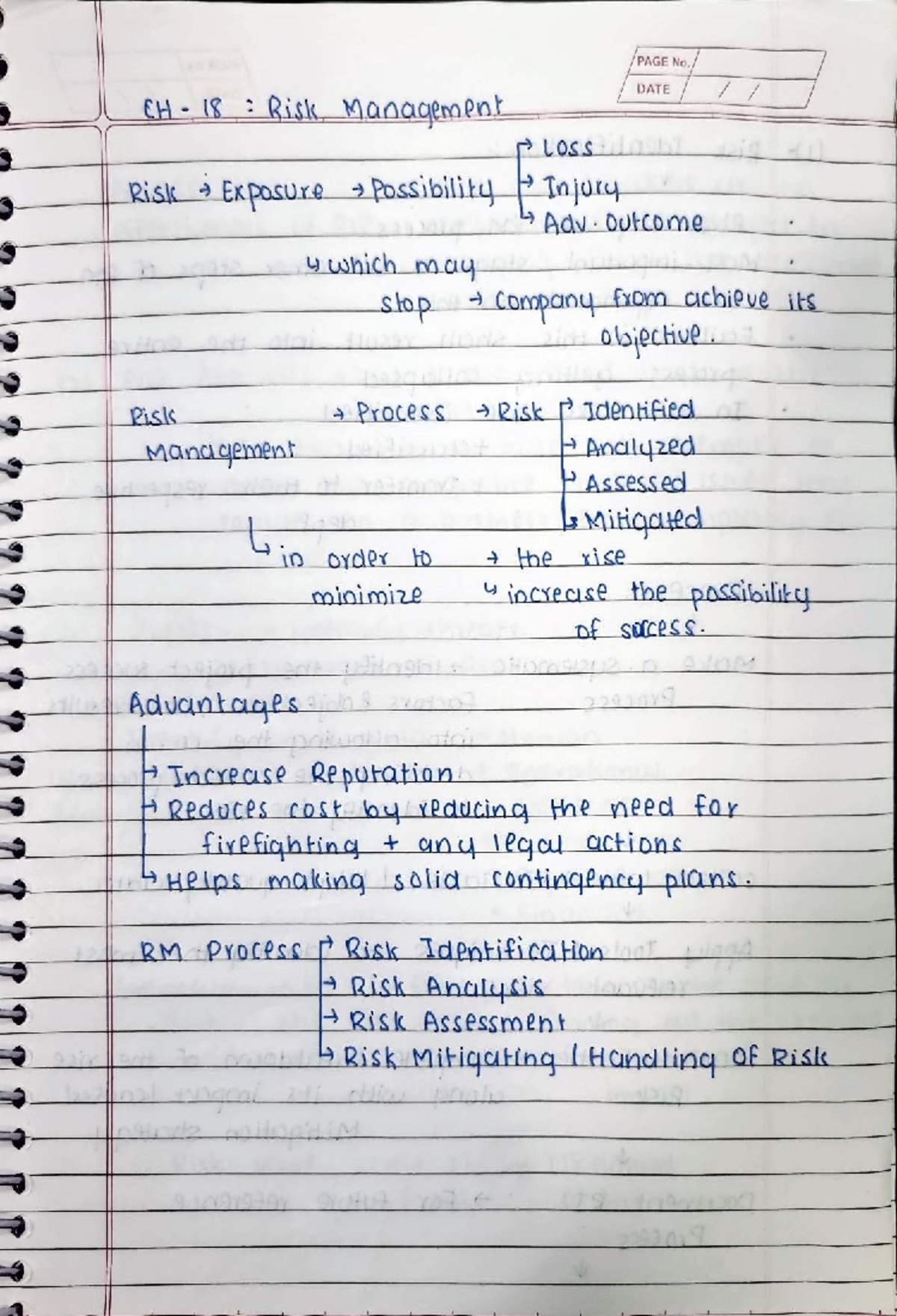 Chapter 18: Risk Management Strategies and Processes (RM 101) - Studocu