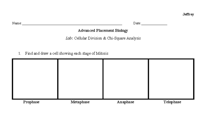AP Biology Lab: Mitosis Stages & Cellular Division Analysis - Studocu