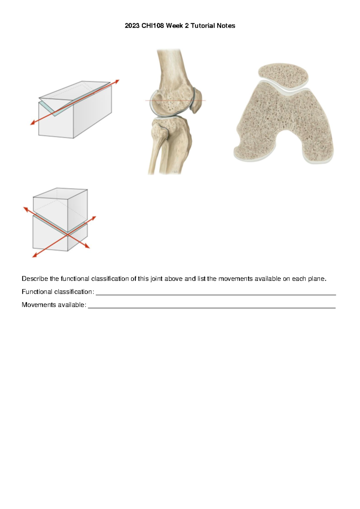 2023 CHI108 Week 2 Tutorial Notes on Joint Functional Classification ...