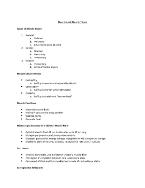 Bone markings and functions - Process: A projection or bump on the ...