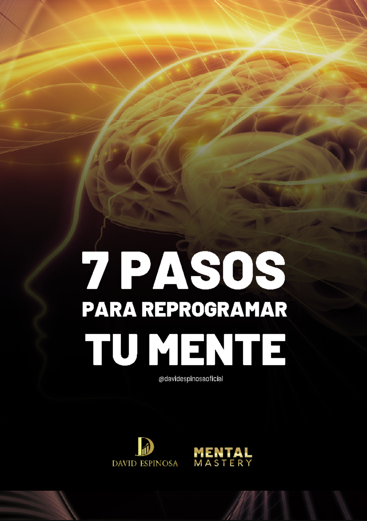 7 Pasos PARA Reprogramar TU Mente - 7 PASOS PARA REPROGRAMAR TU MENTE Lo primero que debes hacer ...