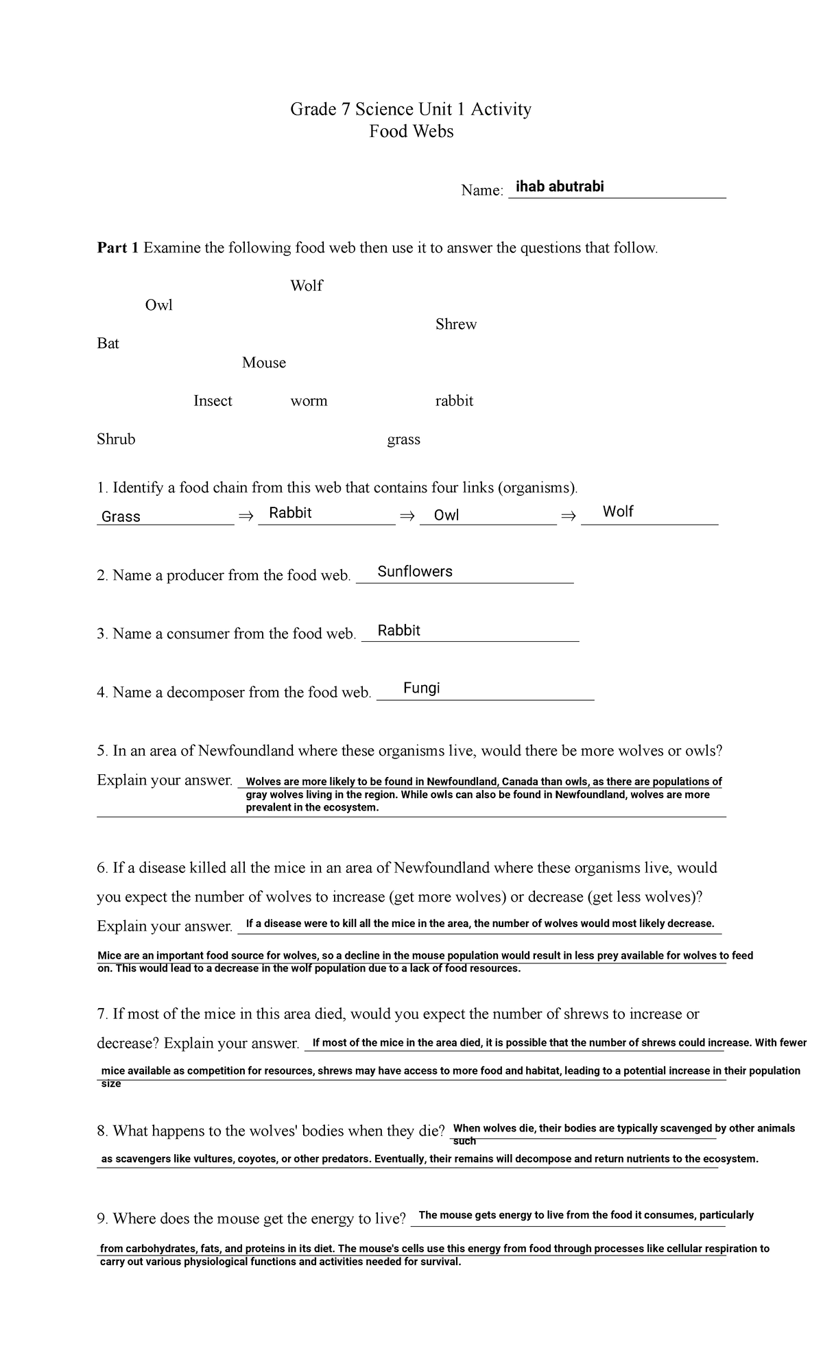 Grade 7 Science - Food Web Worksheet Activity - Studocu
