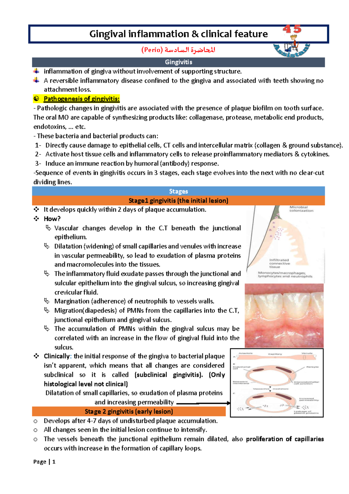 Buttressing Bone Formation Lipping